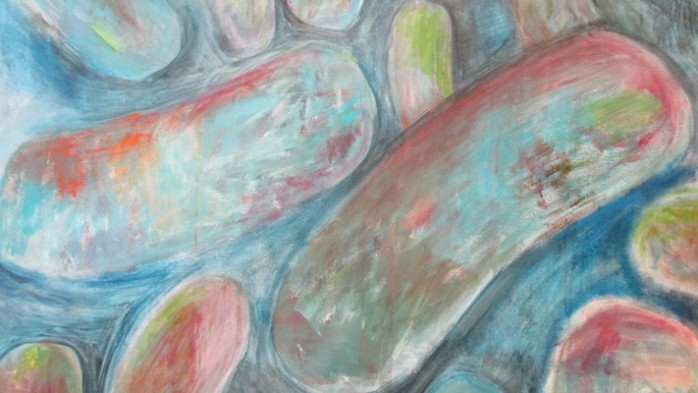 Inflamed Environment Is C. diff Paradise | NC State News