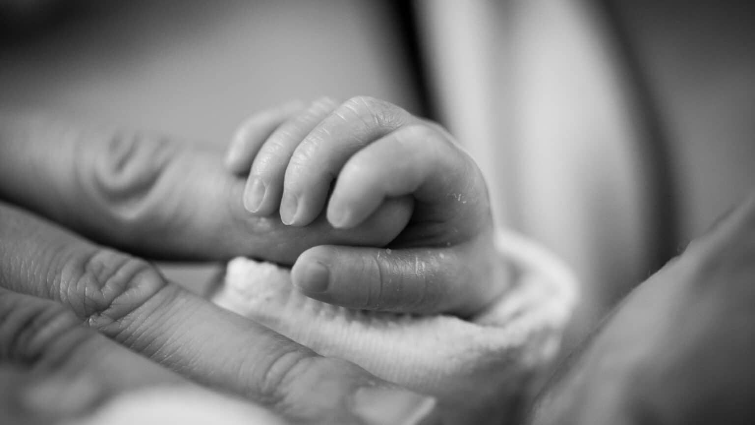 Study Sheds Light on Bacteria Associated With Pre-Term Birth | NC State ... Study Sheds Light on Bacteria Associated With Pre-Term Birth | NC State ...